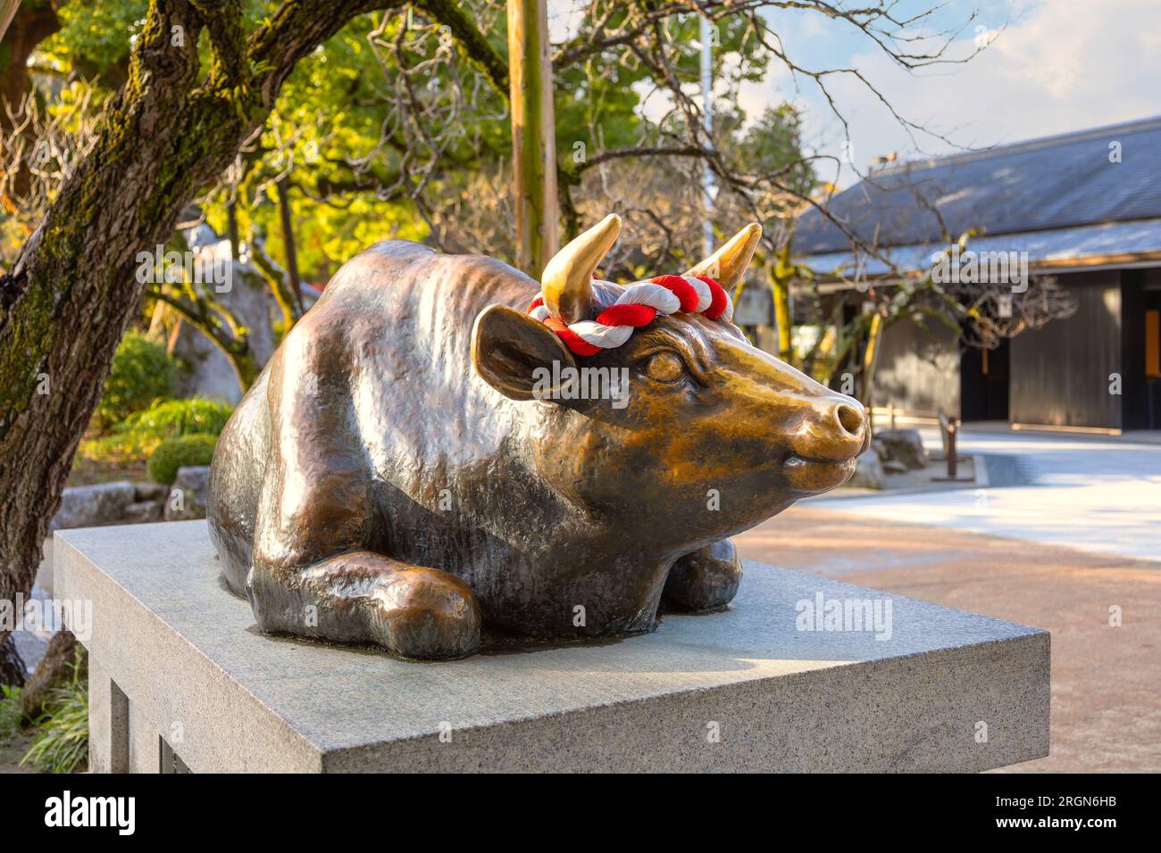 Fukuoka, Japan - Nov 30 2022: Dazaifu Tenmangu Goshingyu (Sacred Ox) is ...