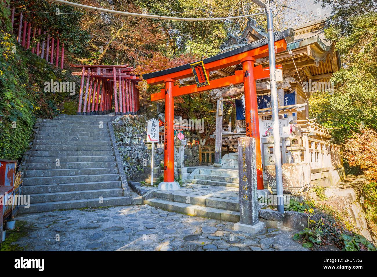 Saga, Japan - Nov 28 2022: Yutoku Inari shrine in Kashima City, Saga ...