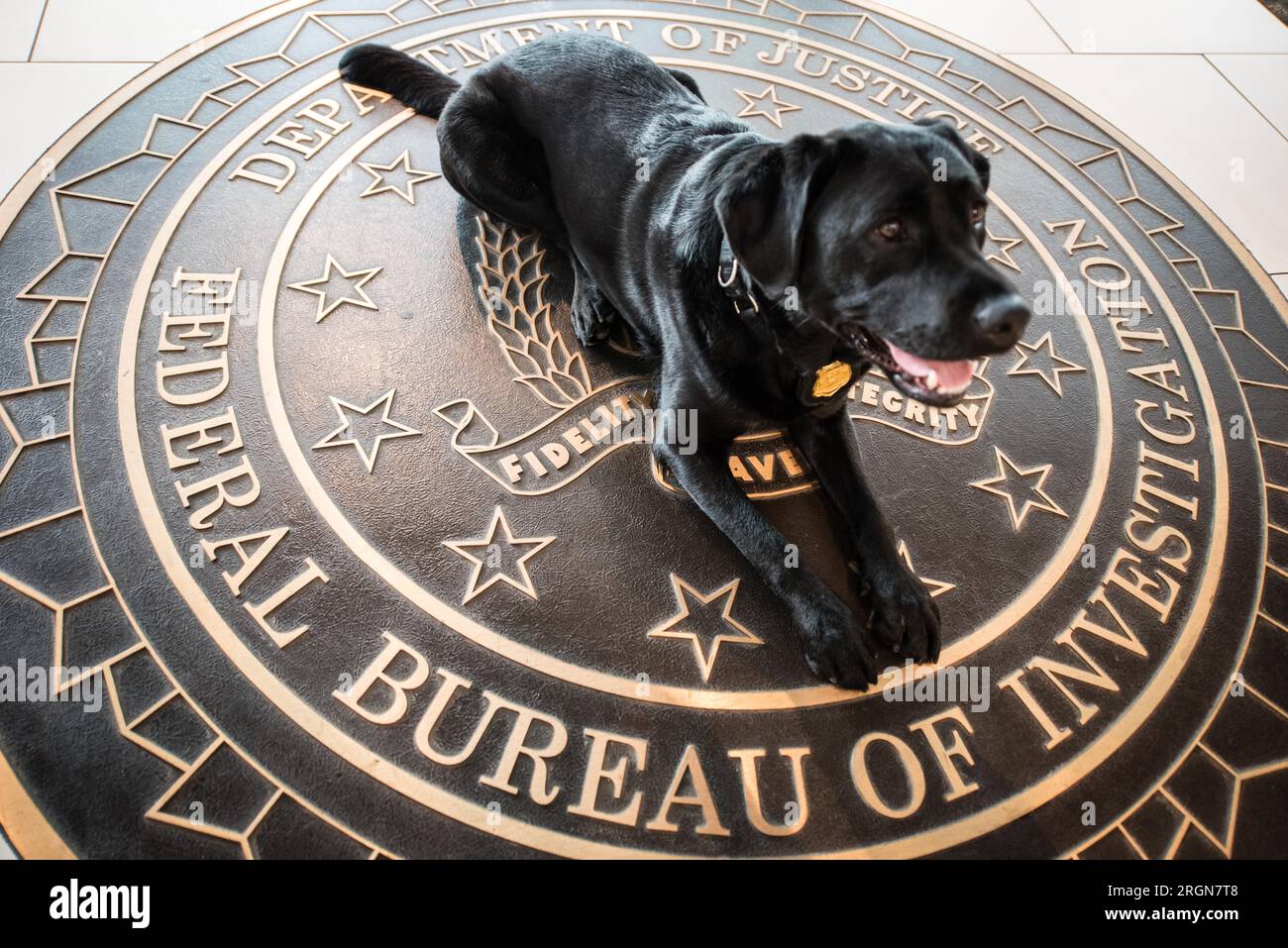 Fbi headquarters dog hi-res stock photography and images - Alamy