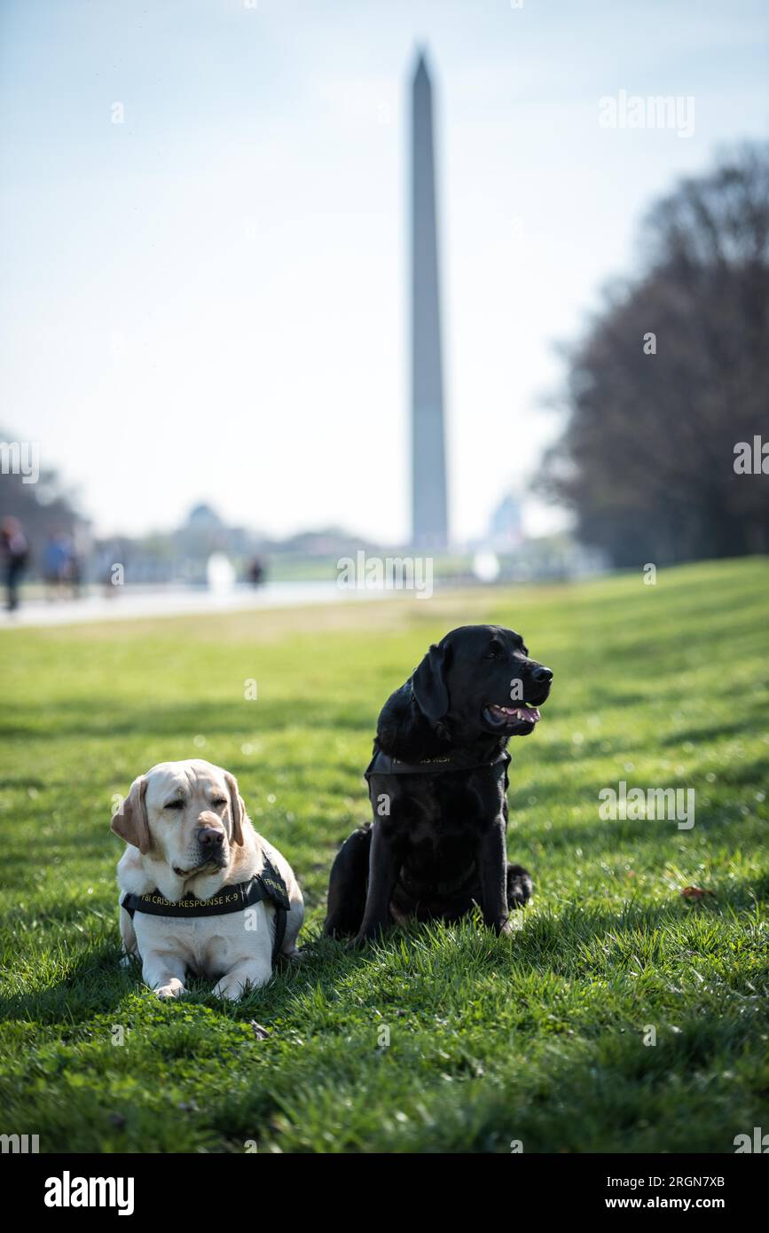 Reportage: Operational canines (K9 Dogs) of the FBI (March 2016 ...