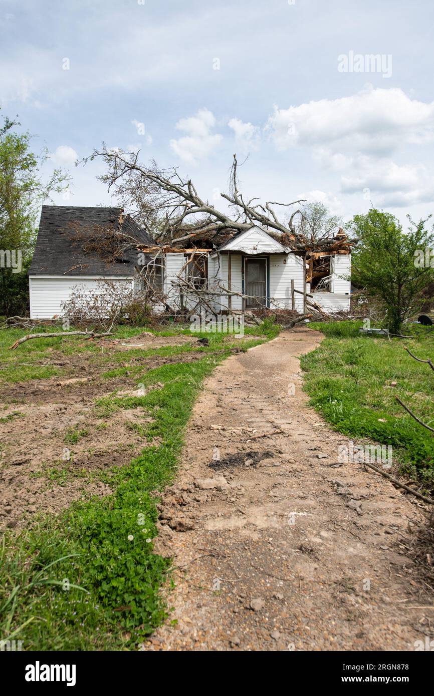 Survey damage tree house hi-res stock photography and images - Alamy