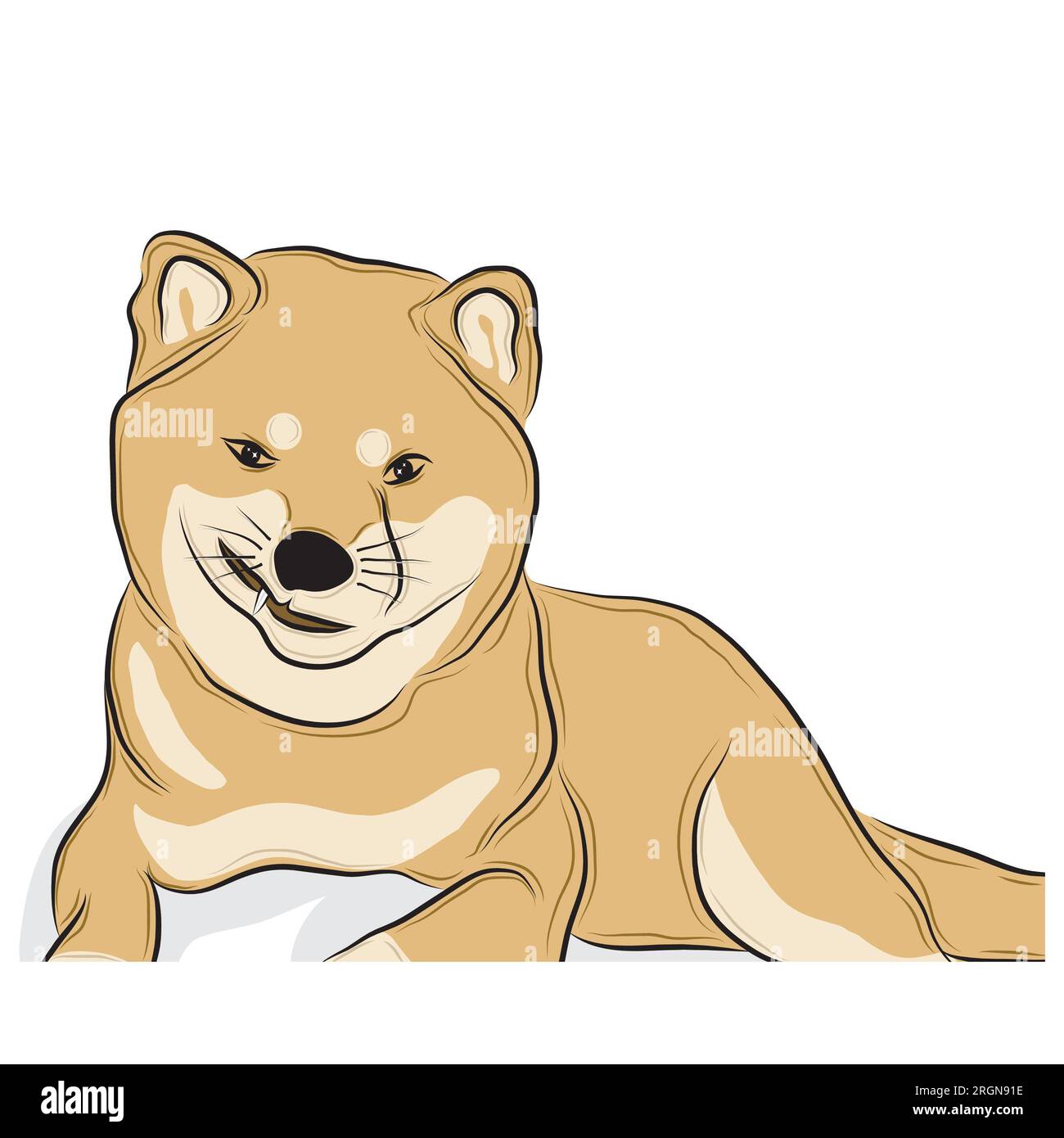 vector picture Shiba dog breed, also known as Inu Stock Photo - Alamy
