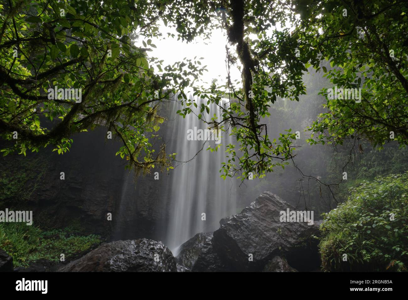 Waterfall framed by rainforest hi-res stock photography and images - Alamy