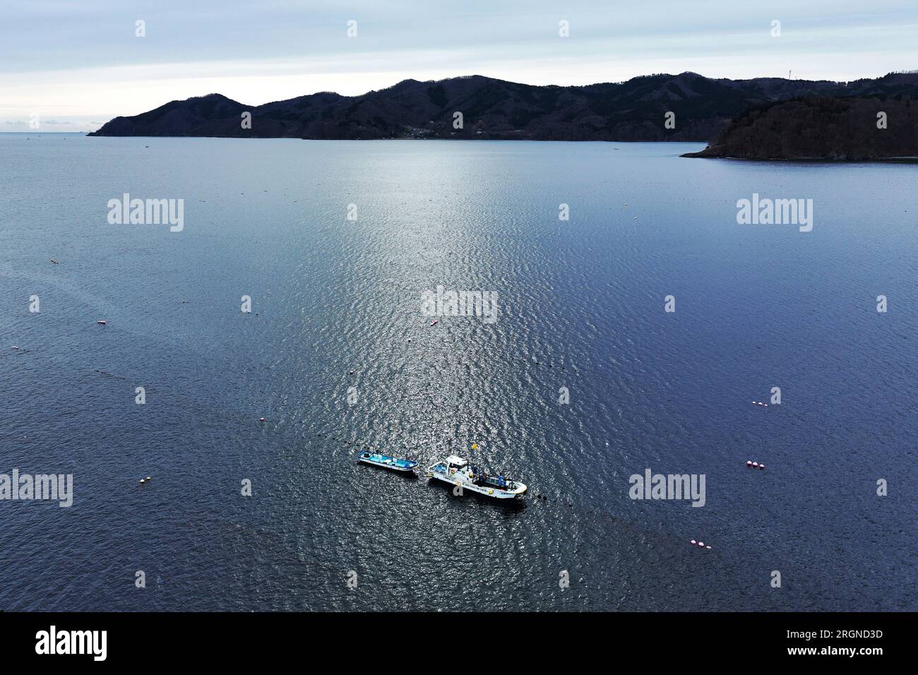 A picture shows Okirai Bay where scallops and oysters are farmed in ...