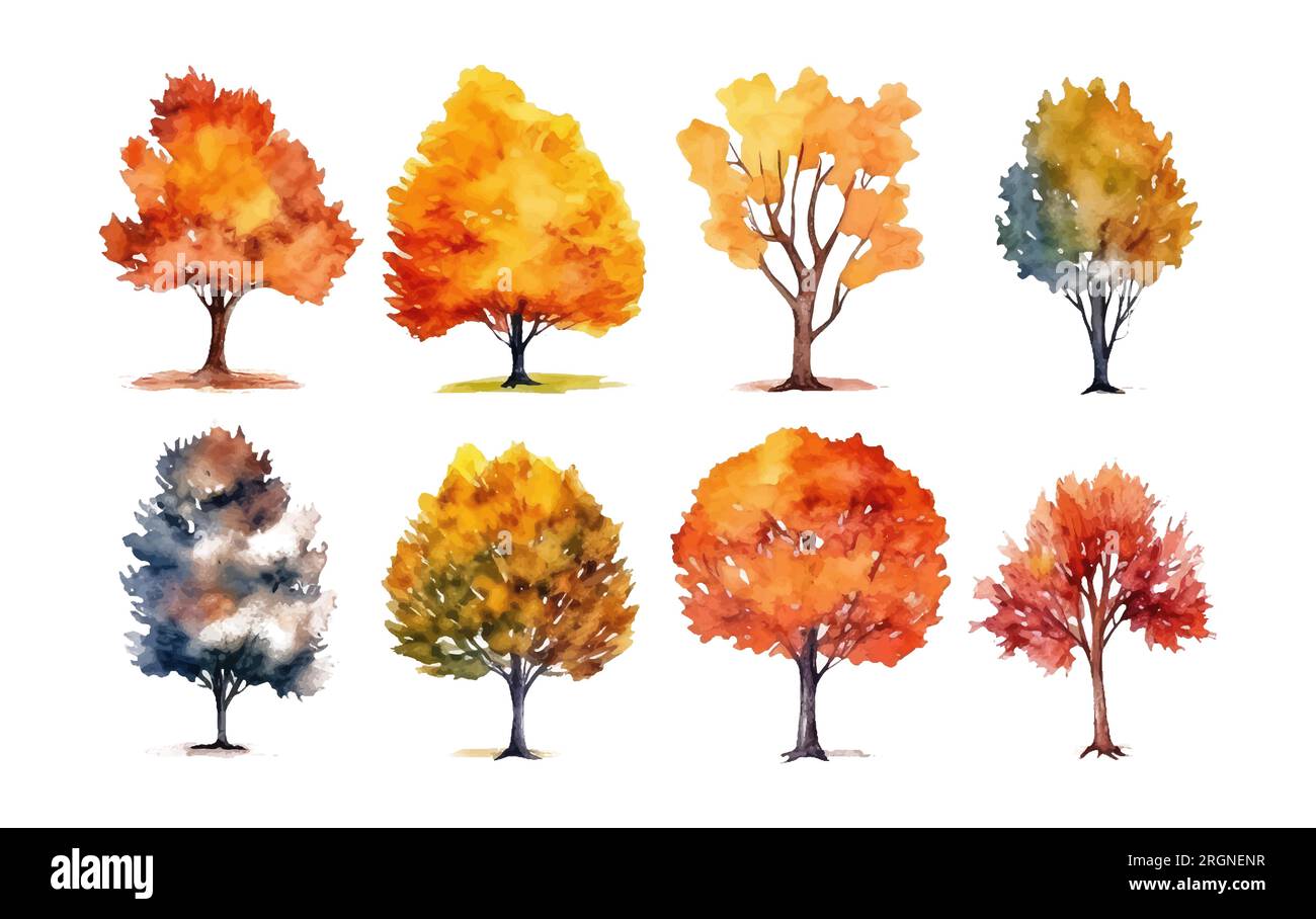 watercolor set vector illustration of colorful autumn tree isolated on ...