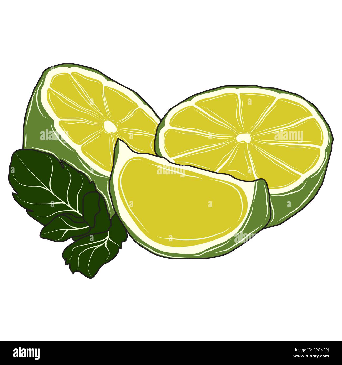 Lemon drawing cut hi-res stock photography and images - Alamy
