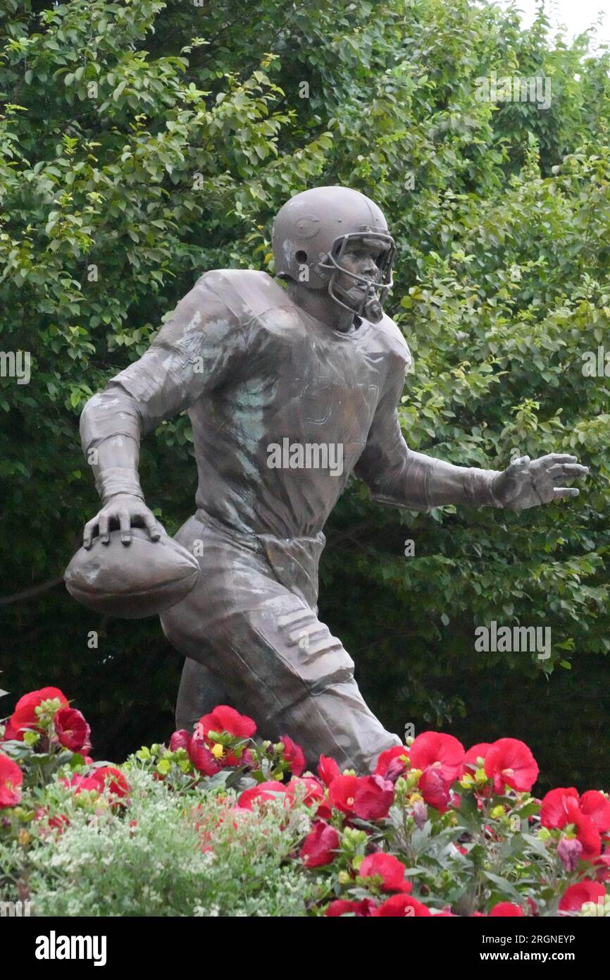 Statue chicago bears running back walter at soldier field hi-res stock ...