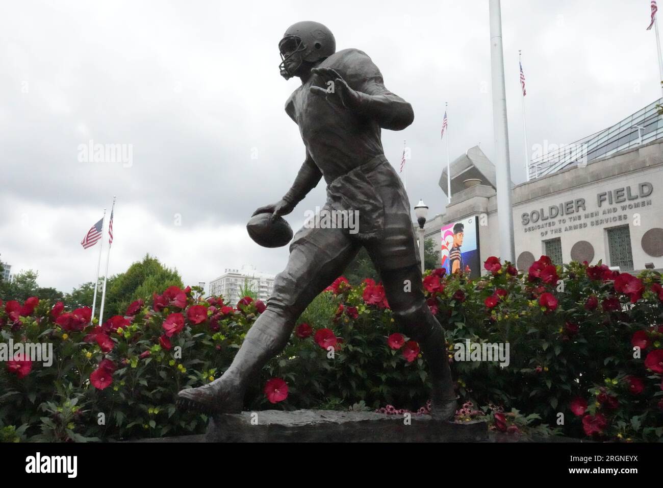 Statue chicago bears running back walter at soldier field hi-res stock ...