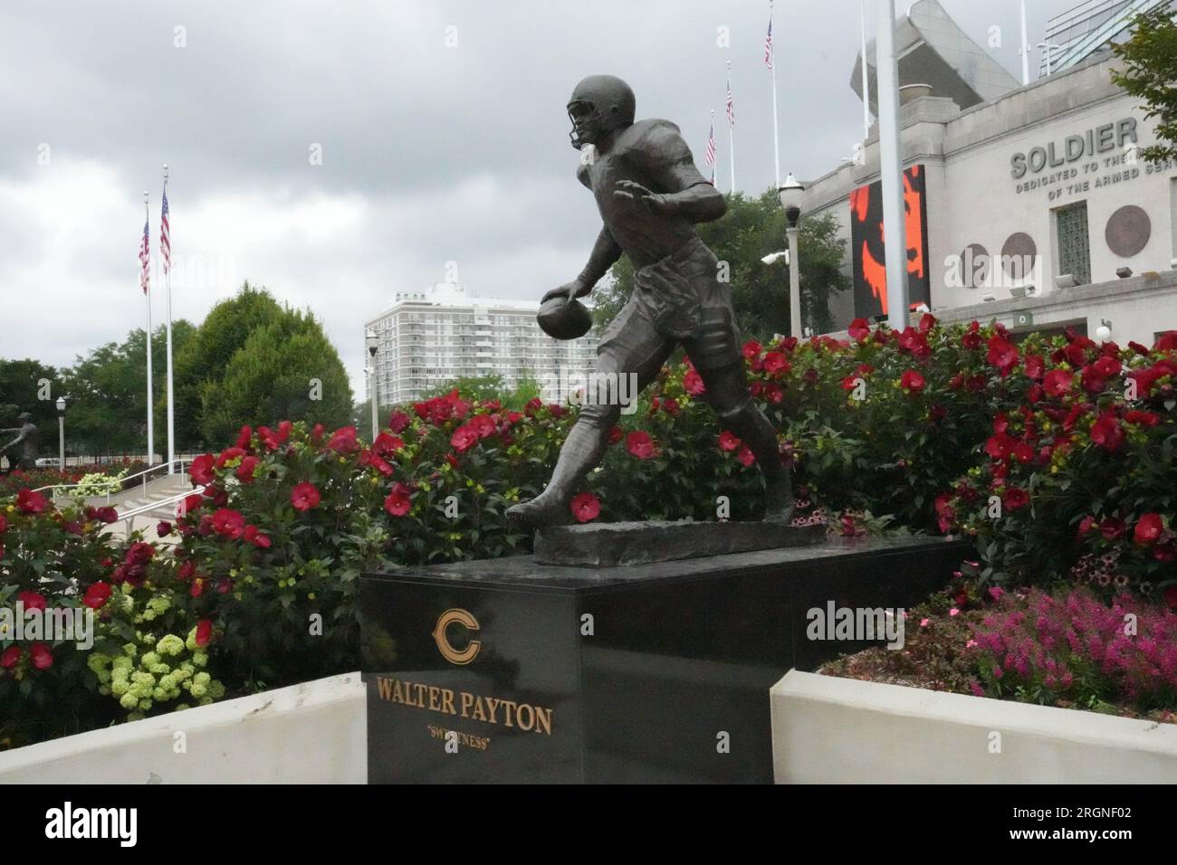 Statue chicago bears running back walter at soldier field hi-res stock ...