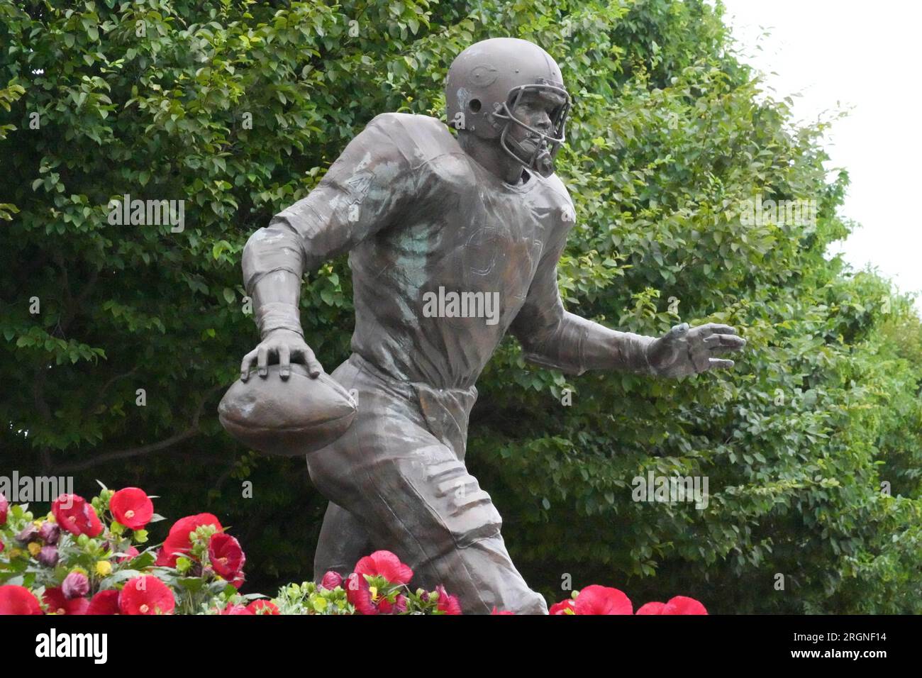 Statue chicago bears running back walter at soldier field hi-res stock ...