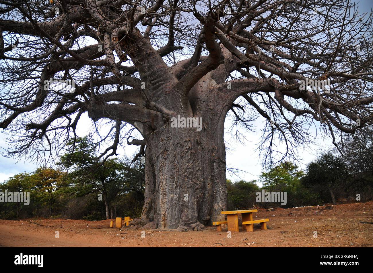 The Tshipise area of north eastern Limpopo boasts one of the largest ...