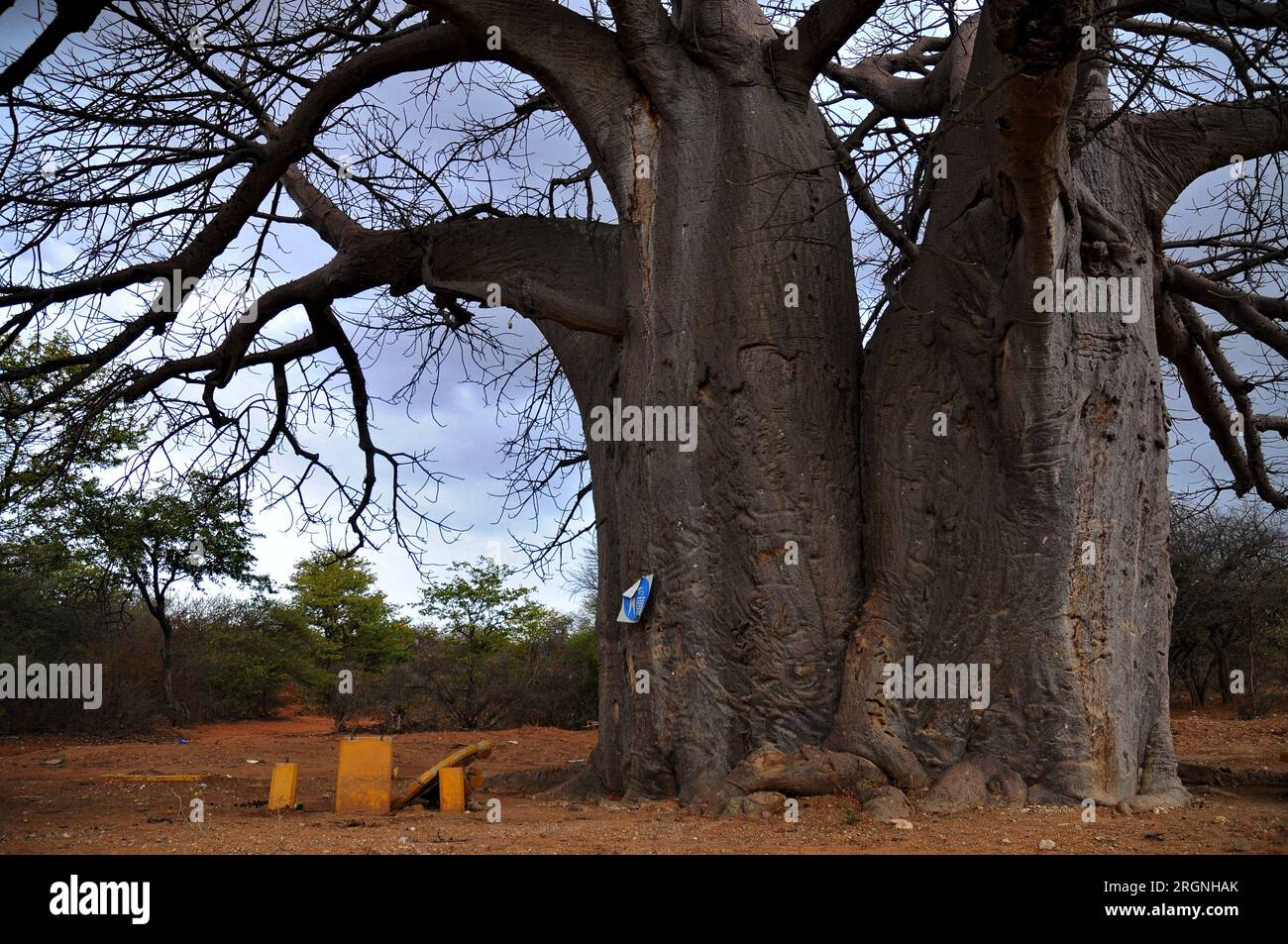 The Tshipise area of north eastern Limpopo boasts one of the largest ...