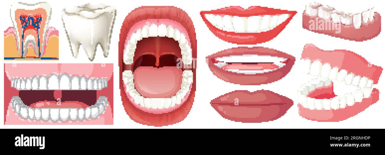 A vibrant illustration featuring dental and teeth elements in a cartoon ...