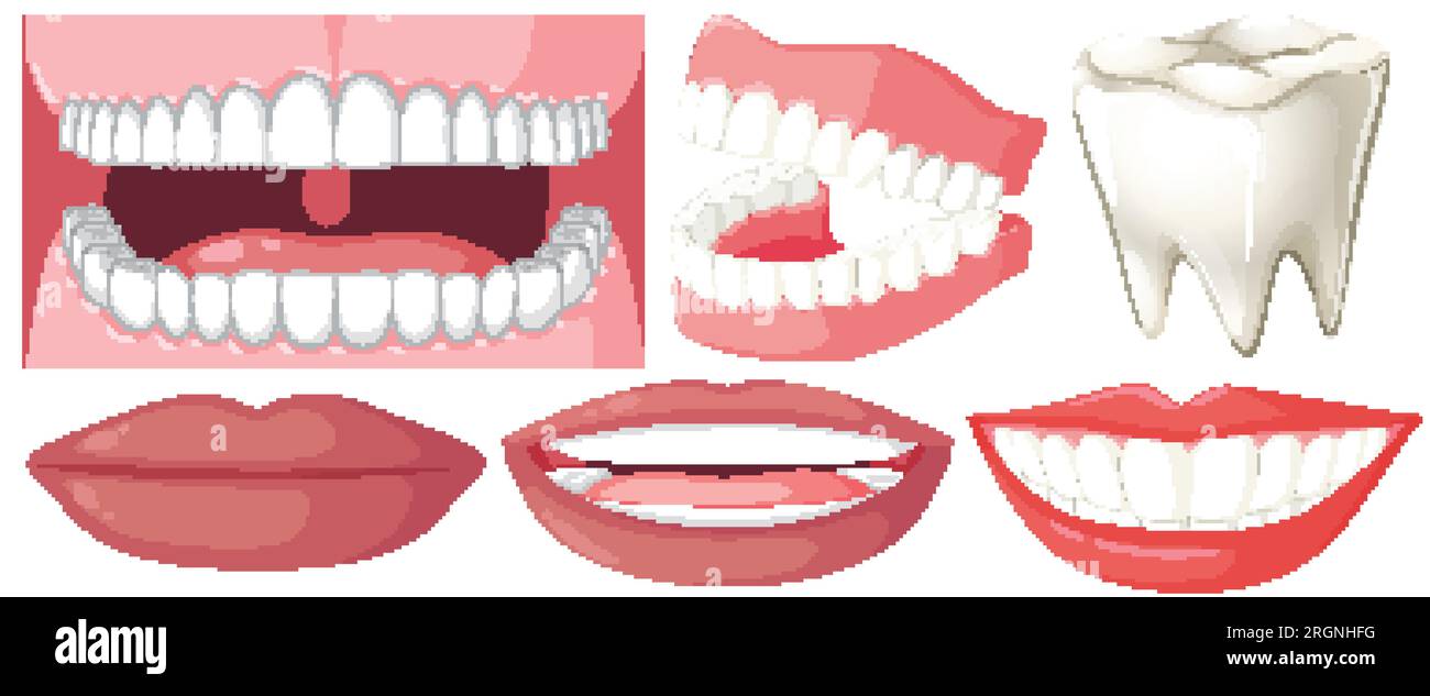 A playful illustration featuring dental and teeth elements Stock Vector ...