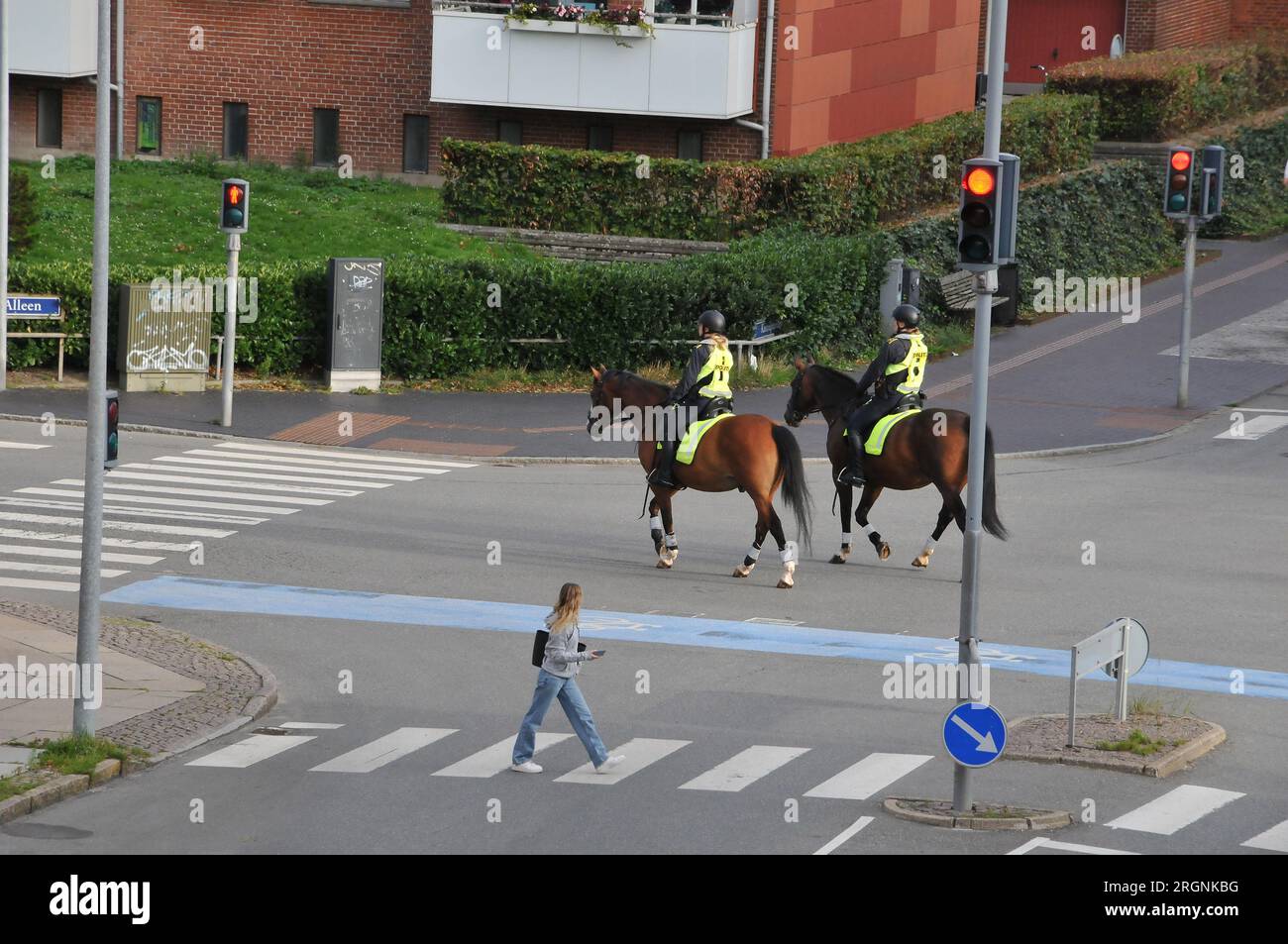 Kastrup/Denmark/11 August 2023/.Female police officer patrol on horse ...