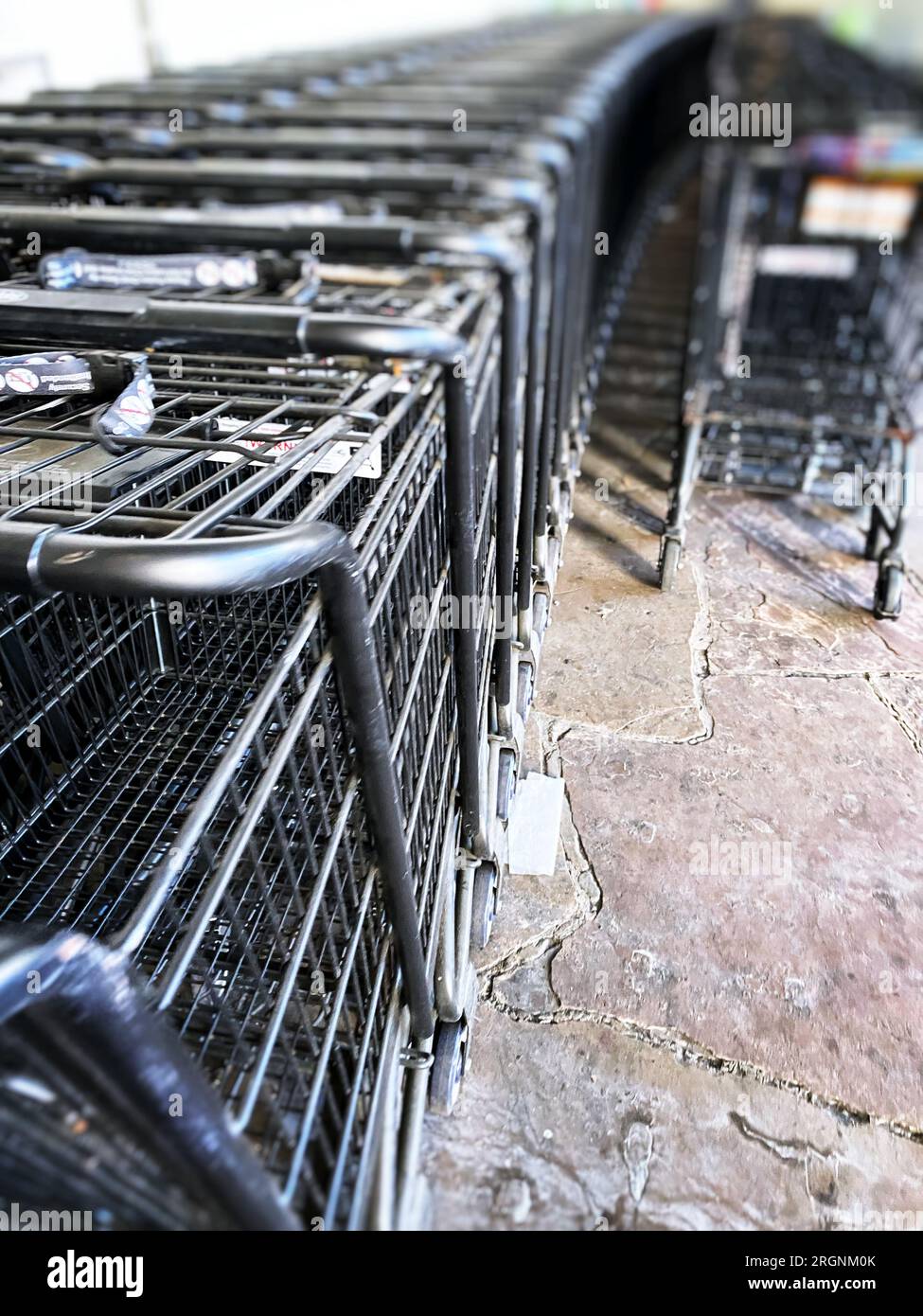 Shopping carts at the supermarket Stock Photo - Alamy