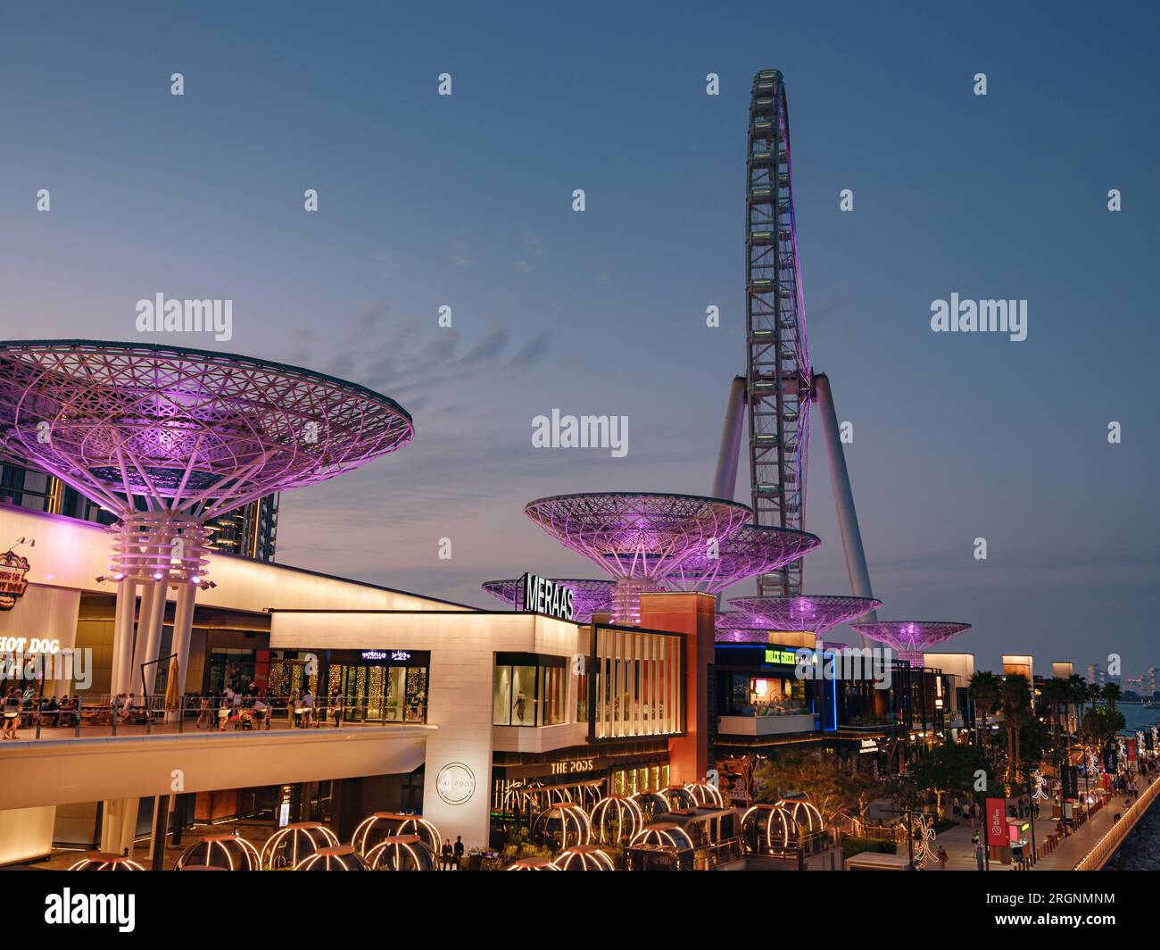 Dubai, United Arab Emirates, March 26, 2023: night view of tallest ...