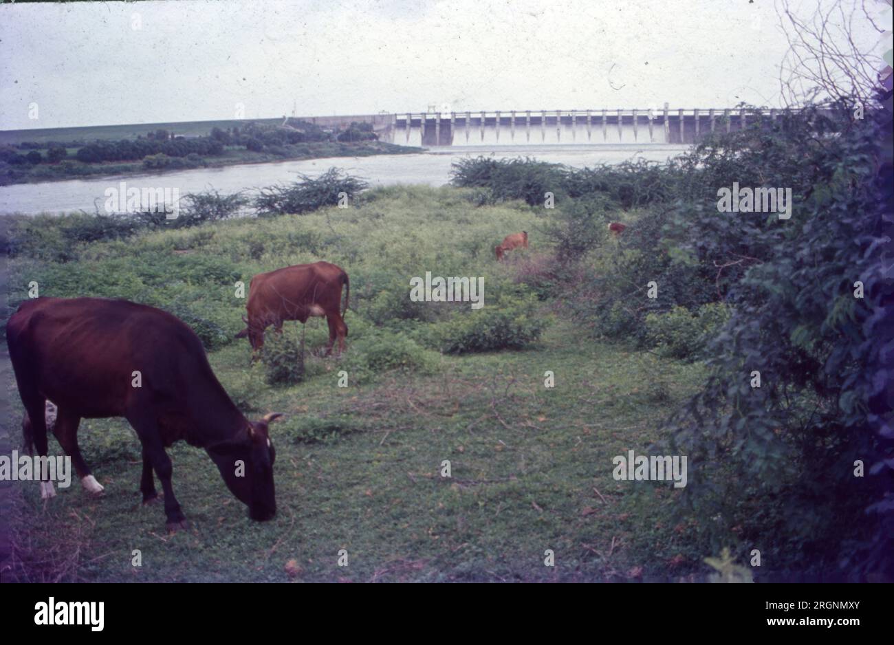 Nathsagar Dam, Jayakwadi Dam, Over Godavari & Pravara River ...