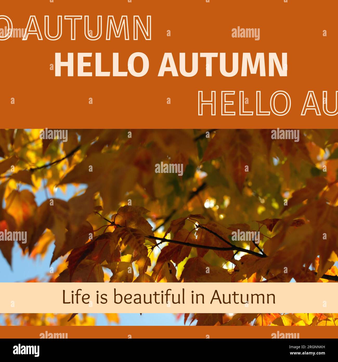 Composite of hello autumn text over autumn trees Stock Photo - Alamy