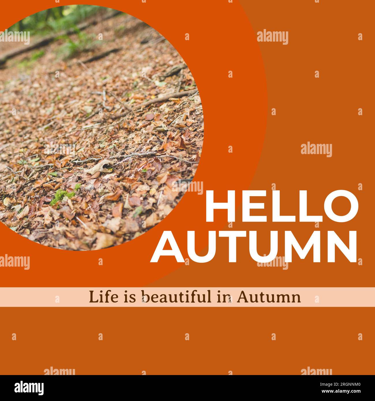 Composite of hello autumn text over autumn trees Stock Photo - Alamy