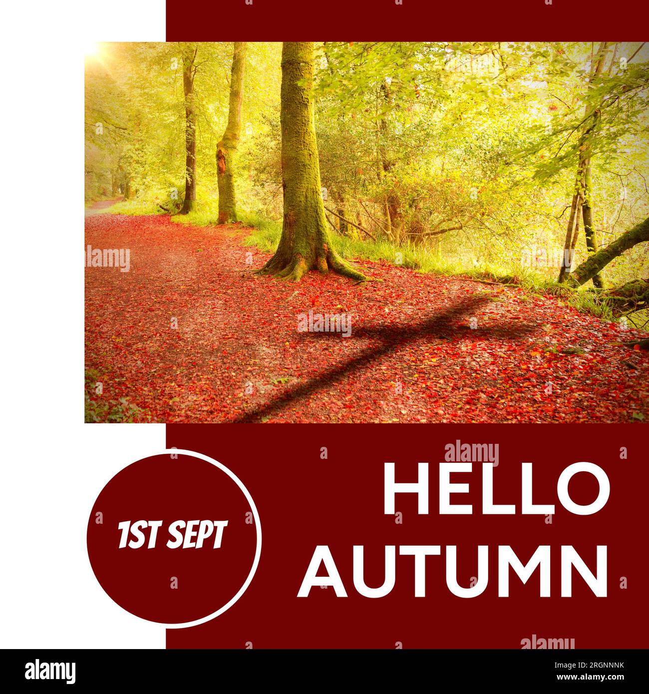 Composite of hello autumn text over autumn trees Stock Photo - Alamy