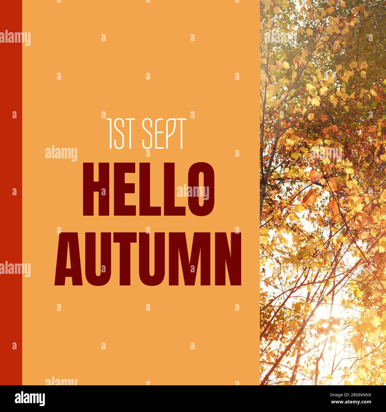 Composite of hello autumn text over autumn trees Stock Photo - Alamy