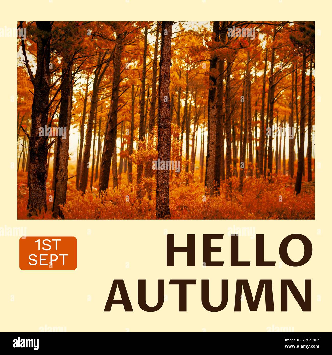 Composite of hello autumn text over autumn trees Stock Photo - Alamy