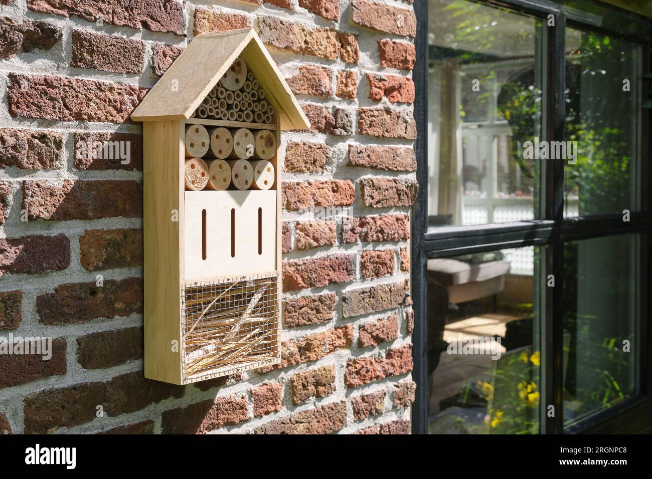 Insect hotel on a sunny wall hi-res stock photography and images - Alamy