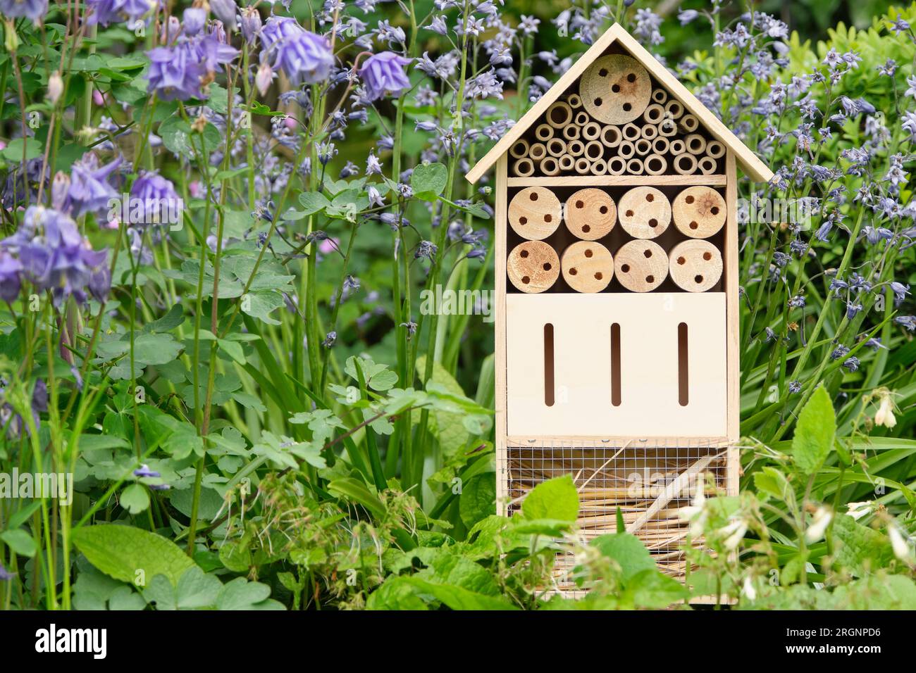 An insect hotel or bee hotel in a summer garden. An insect hotel is a ...