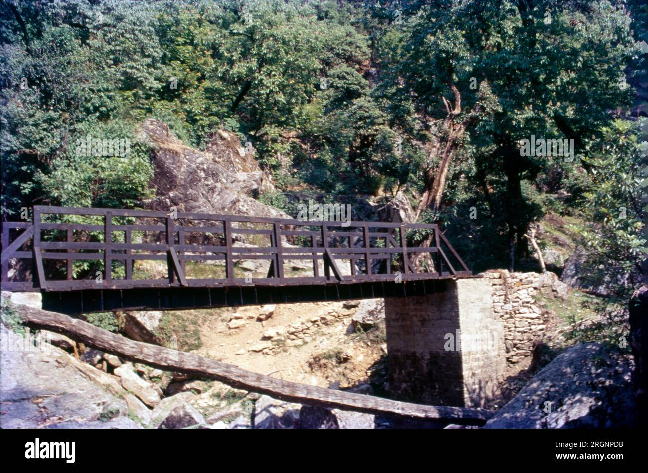 Wooden Walkway Bridge, Himachal Pradesh, India Stock Photo - Alamy