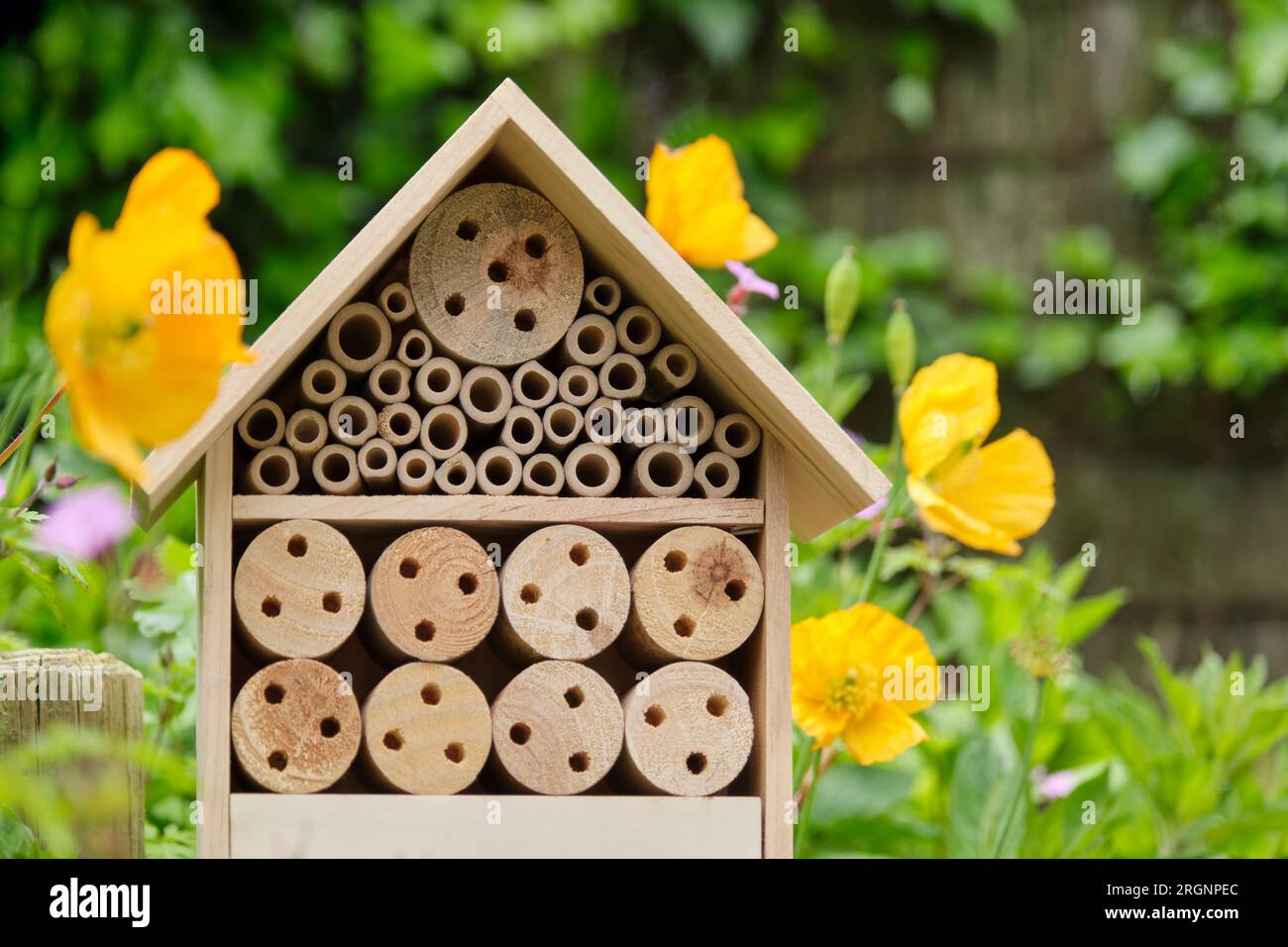 An insect hotel or bee hotel in a summer garden. An insect hotel is a ...