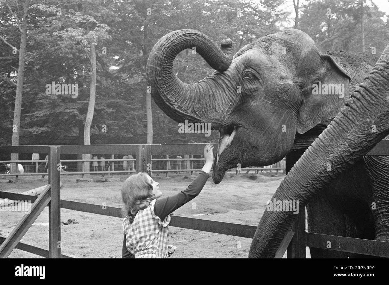 1970s conny vink hi-res stock photography and images - Alamy