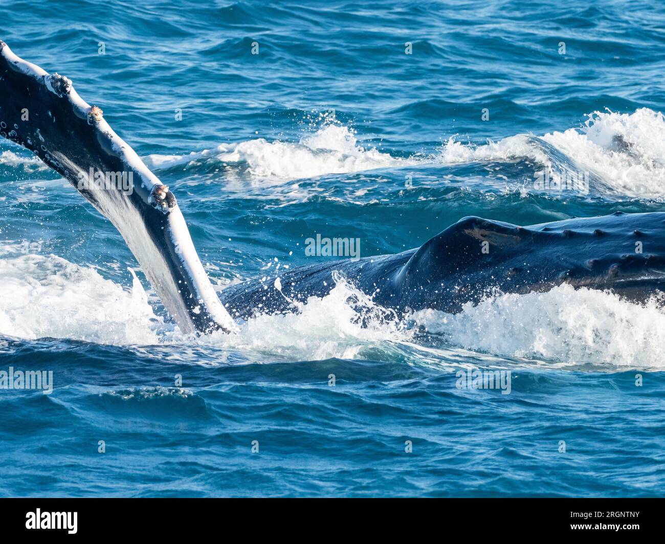 Lacepede islands kimberley hi-res stock photography and images - Alamy