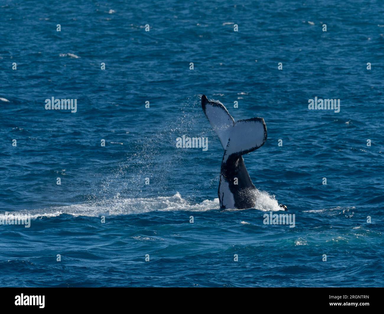Lacepede islands australia hi-res stock photography and images - Alamy