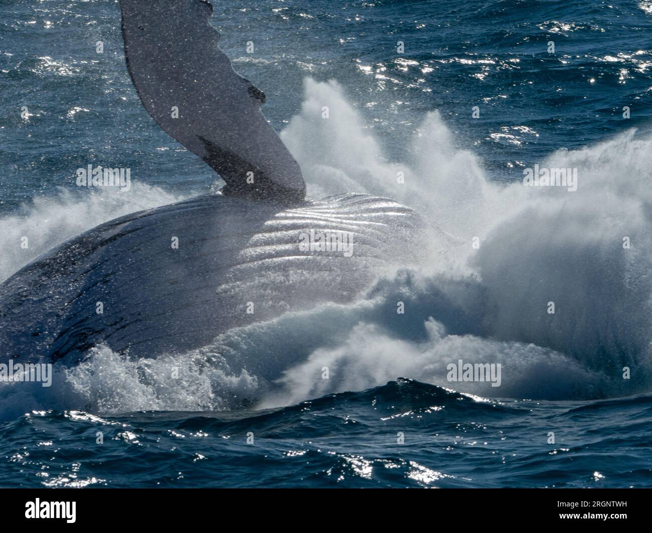 Lacepede islands australia hi-res stock photography and images - Alamy