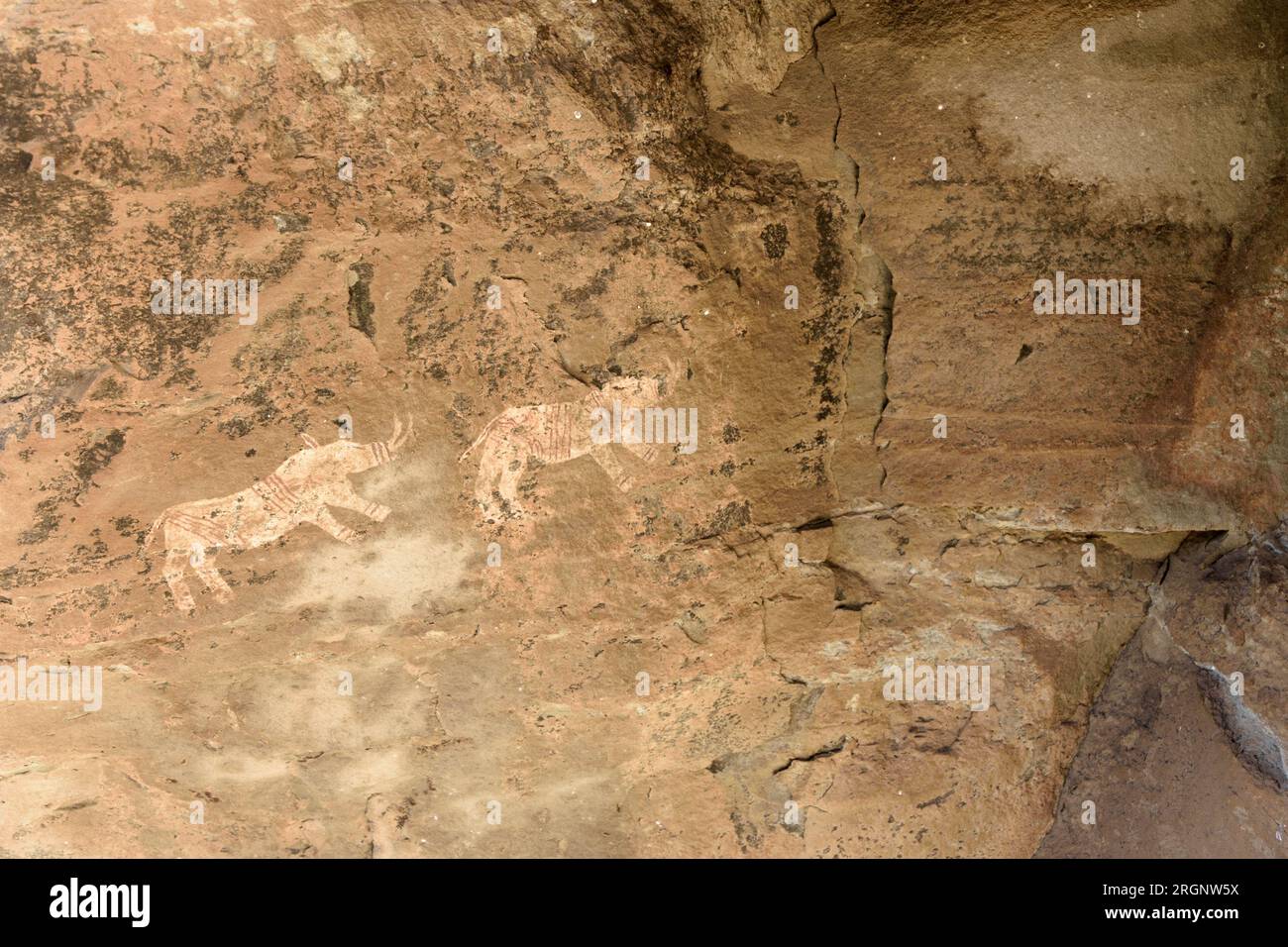 Rock art images in the Injisuthi Battle Cave in the Giants Castle area ...