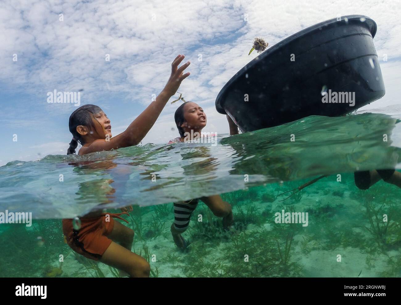 Bohol Province, Philippines. 11th Aug, 2023. Children fish for sea ...