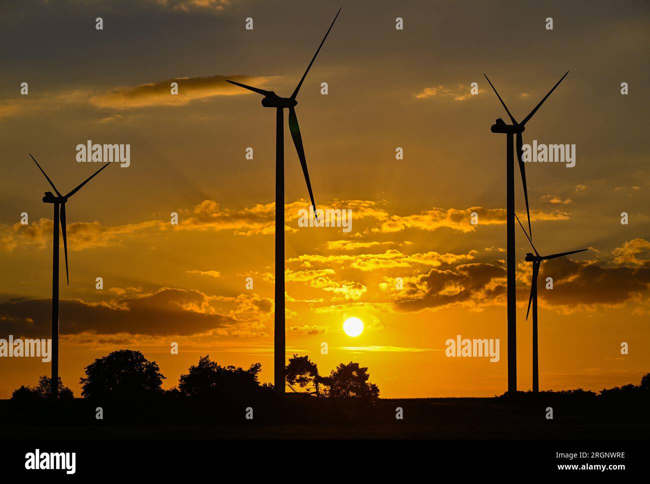 Jacobsdorf, Germany. 10th Aug, 2023. The sky glows golden yellow at ...
