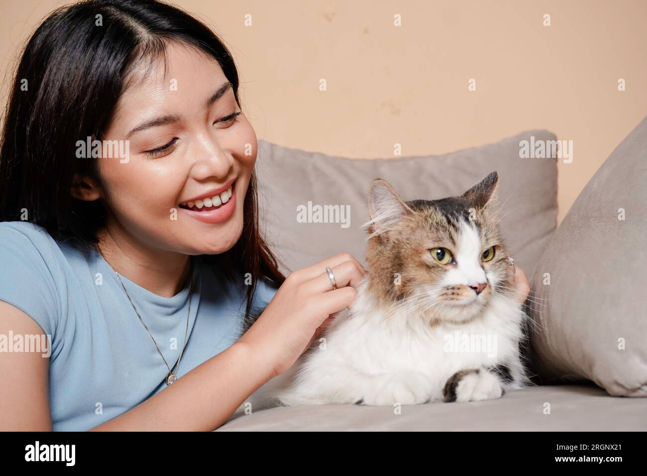 Pretty Asian woman hug a cat and sit on couch with happy emotion ...