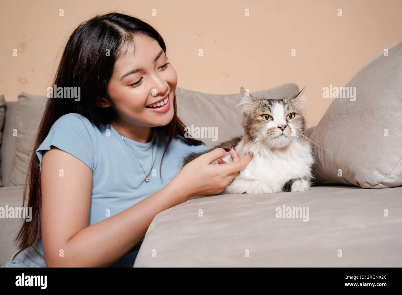 Pretty Asian woman hug a cat and sit on couch with happy emotion ...