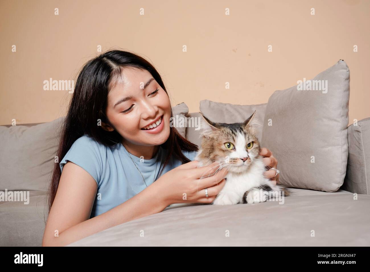 Pretty Asian woman hug a cat and sit on couch with happy emotion ...