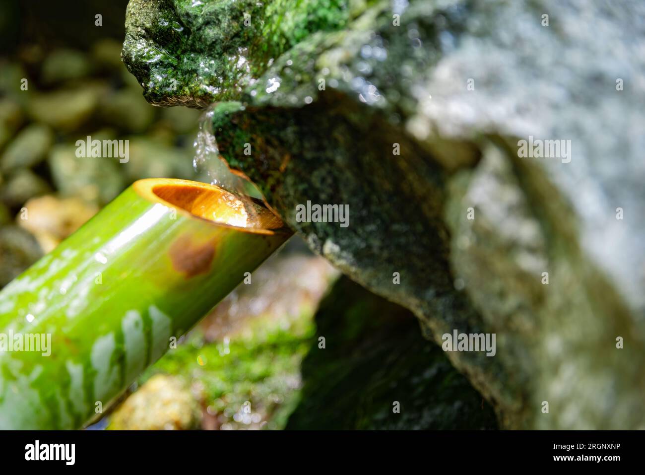 A Japanese Bamboo Water Fountain Shishi-Odoshi in Zen Garden close up ...