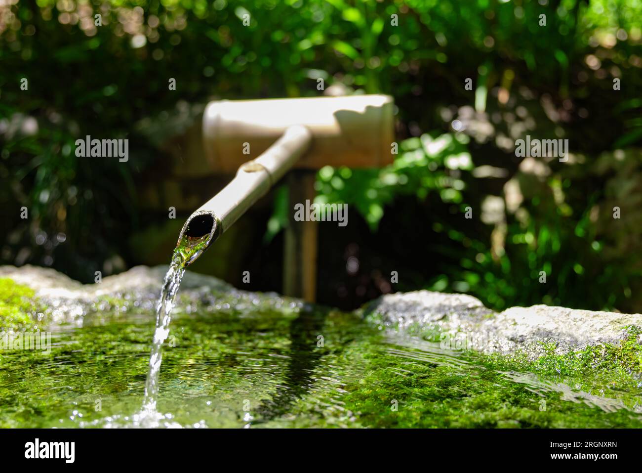 A Japanese Bamboo Water Fountain Shishi-Odoshi in Zen Garden Stock ...