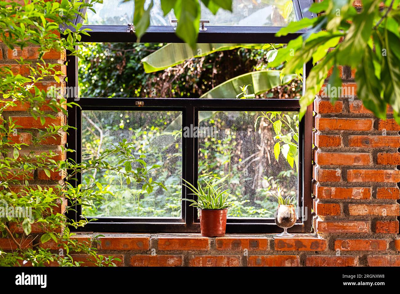Brick wall with big window, greenery patio area Stock Photo - Alamy