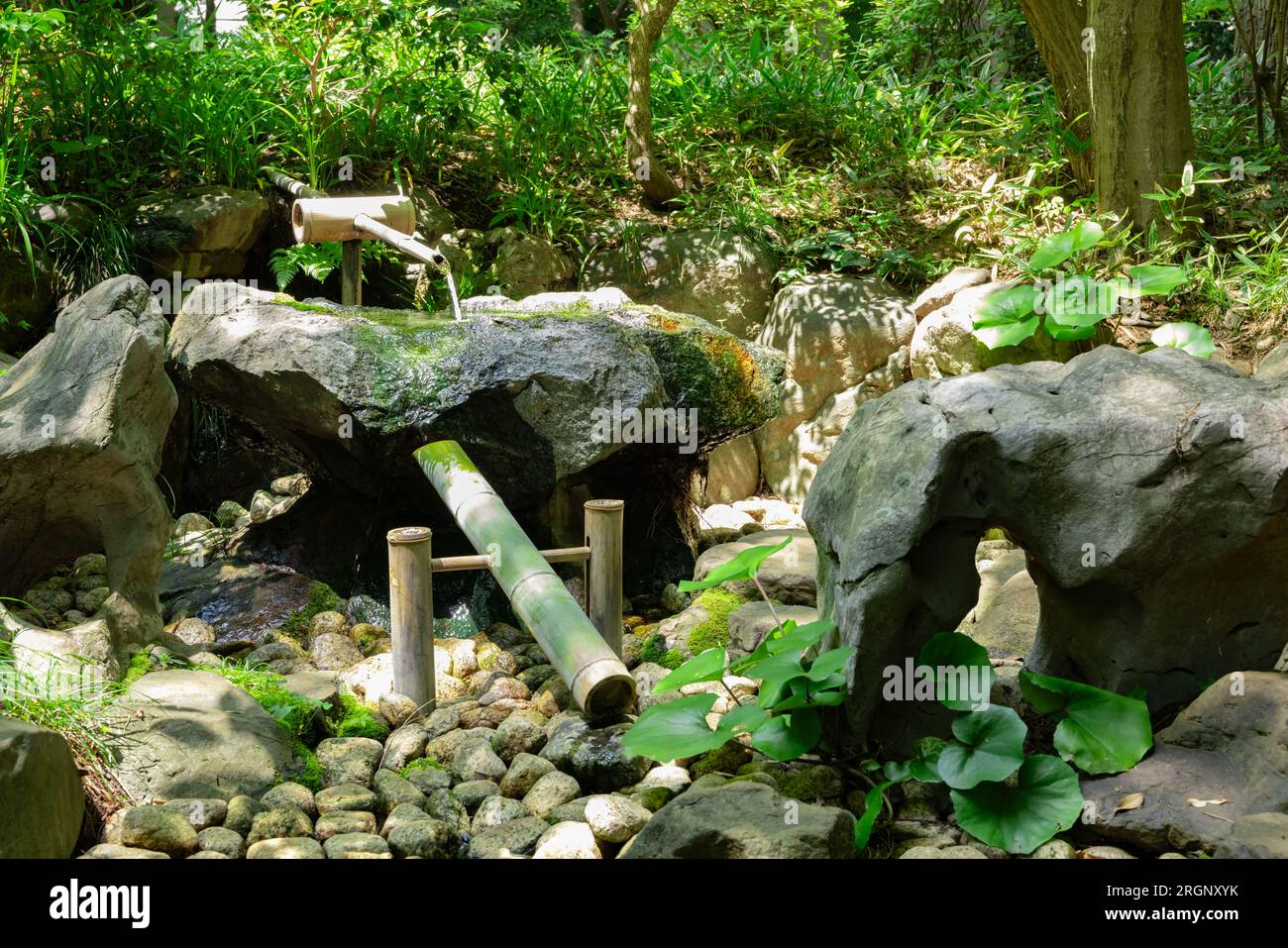 A Japanese Bamboo Water Fountain Shishi-Odoshi in Zen Garden Stock ...