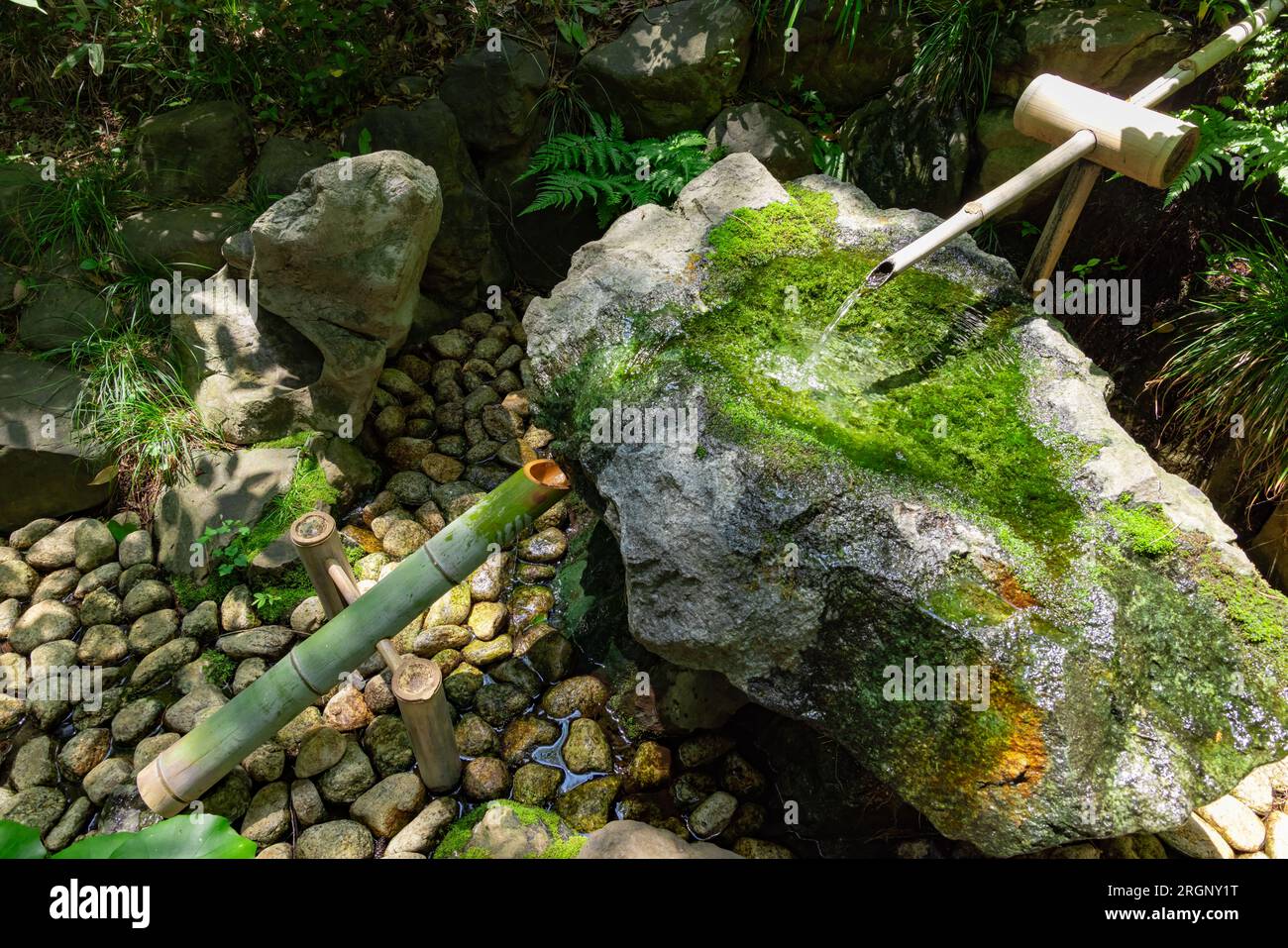 A Japanese Bamboo Water Fountain Shishi-Odoshi in Zen Garden Stock ...