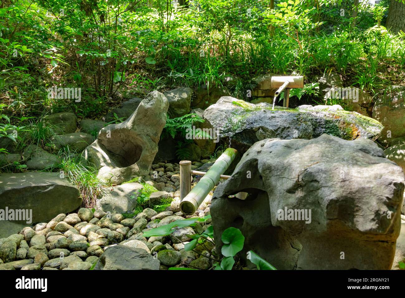 A Japanese Bamboo Water Fountain Shishi-Odoshi in Zen Garden Stock ...