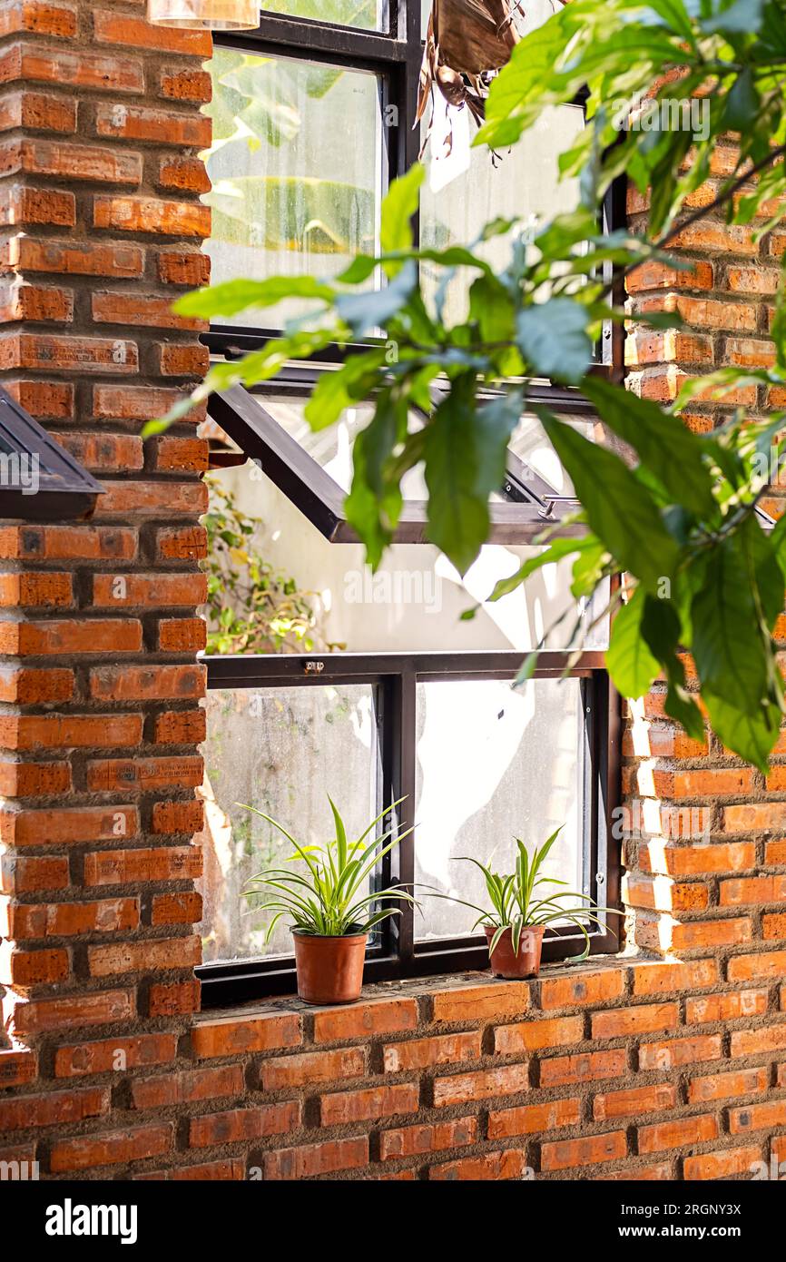 Brick wall with big window, greenery patio area Stock Photo - Alamy