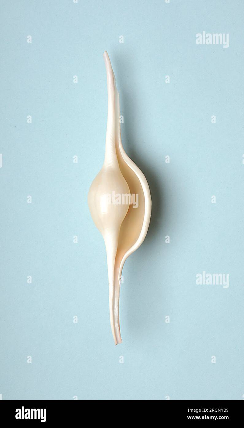 Volva hi-res stock photography and images - Alamy