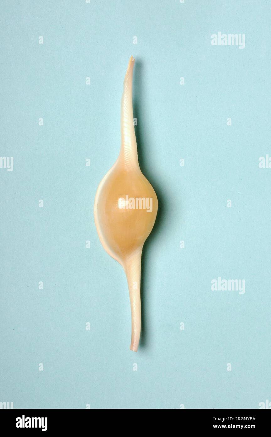 Volva hi-res stock photography and images - Alamy